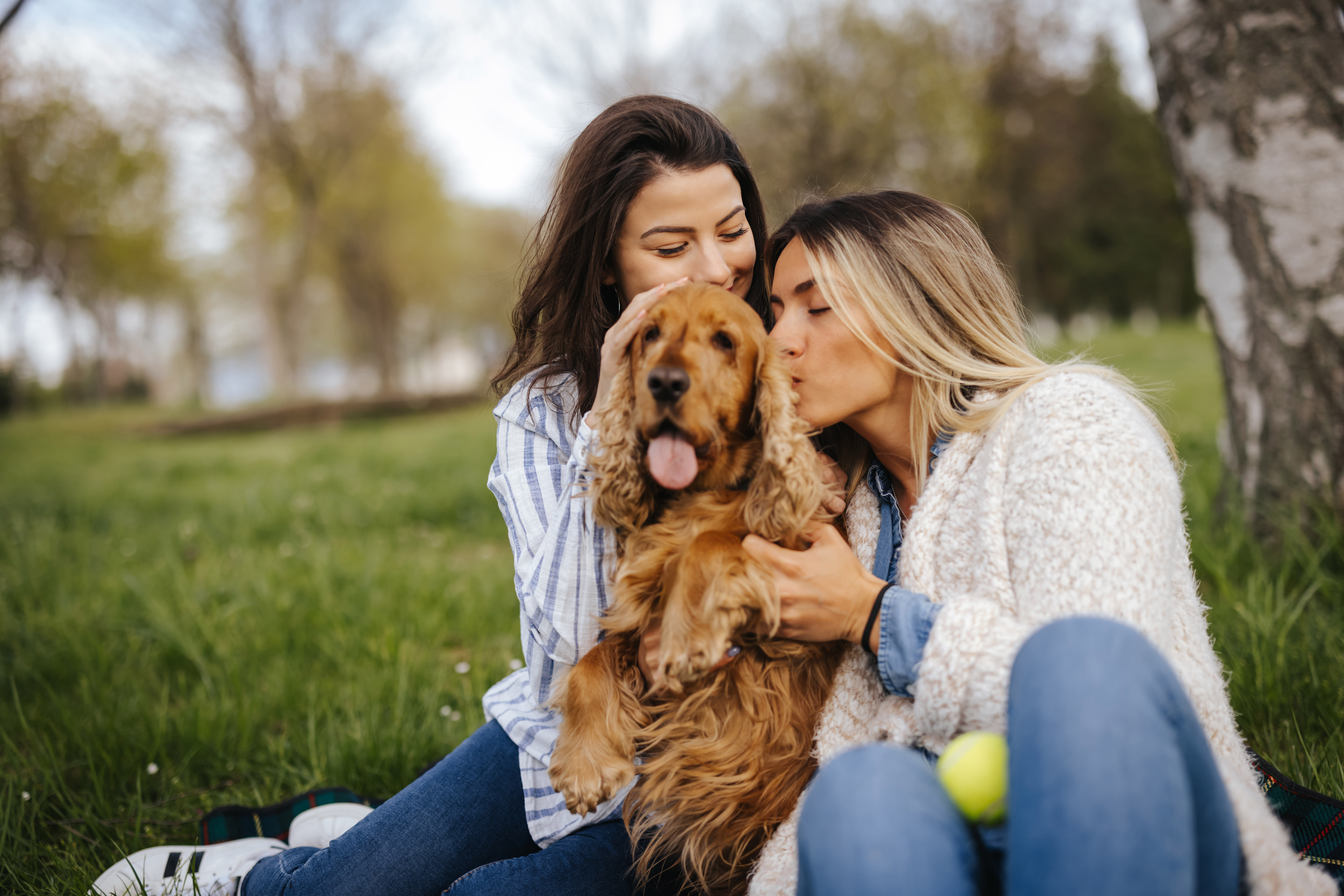 Best Citi Credit Cards of June 2026 - NerdWallet