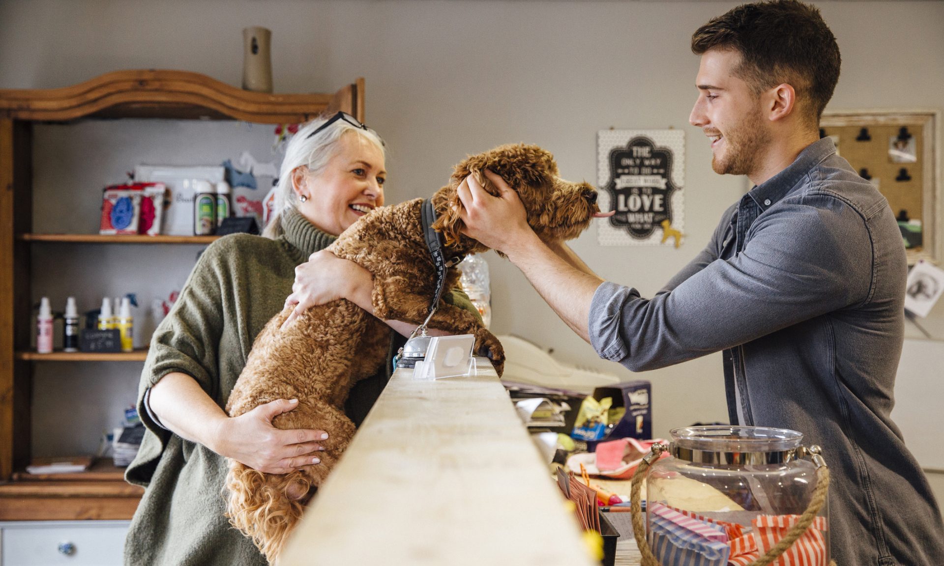 25 Pet Business Ideas NerdWallet 25 Pet Business Ideas NerdWallet