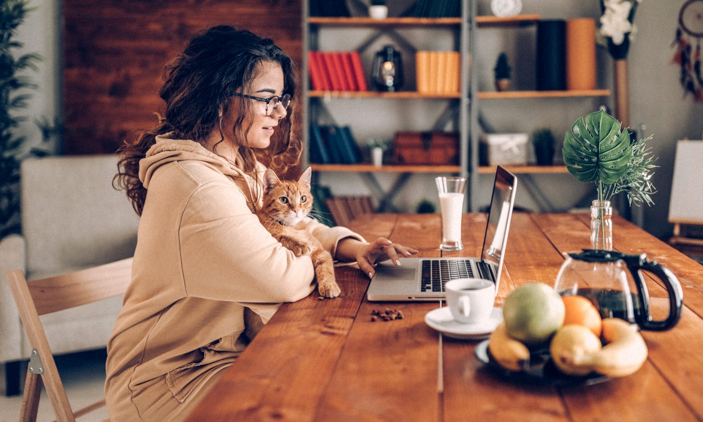 MetLife Pet Insurance Review: Pros and Cons - NerdWallet