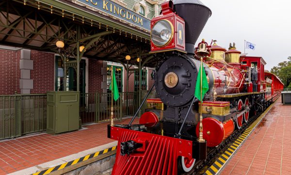 Disney Disability Pass: What You Need to Know - NerdWallet