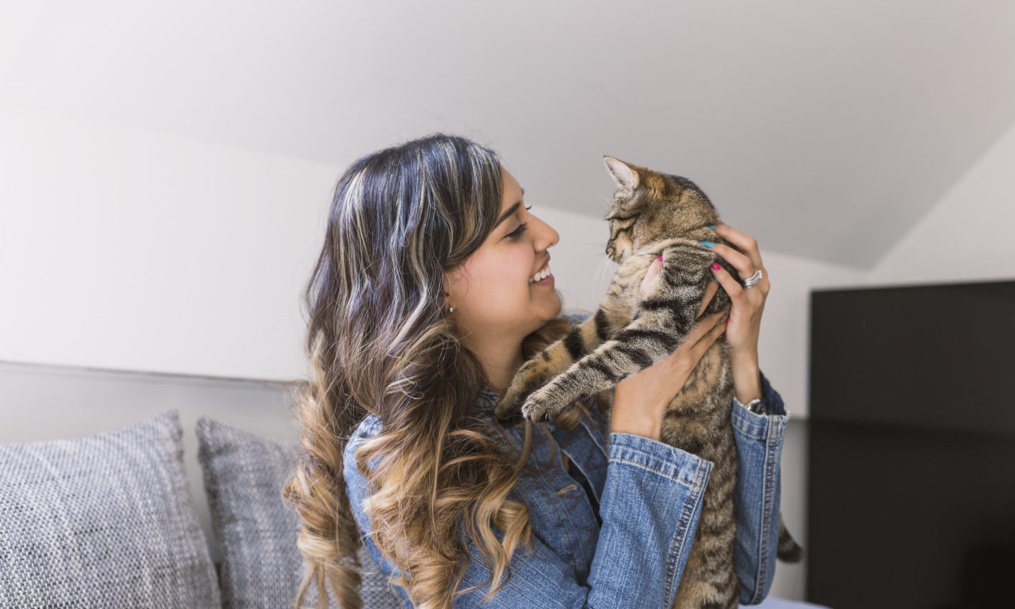 Allstate Pet Insurance Review 2025: Pros and Cons - NerdWallet