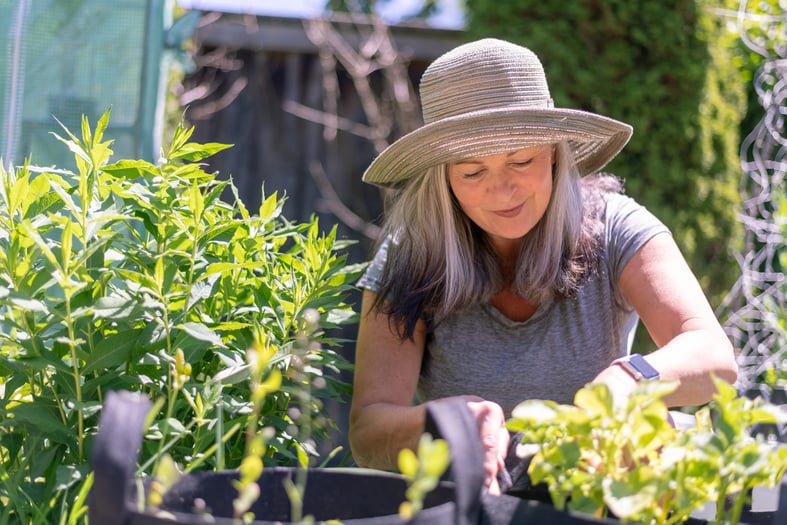 RRSP GIC: A Way to Invest In Your Retirement - NerdWallet Canada