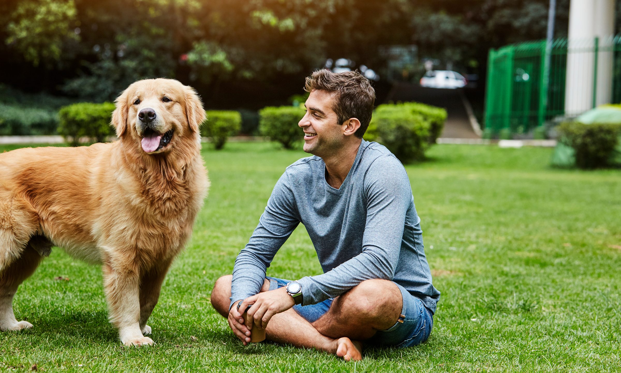 What Does Pet Insurance Cover? (Complete Guide) - NerdWallet