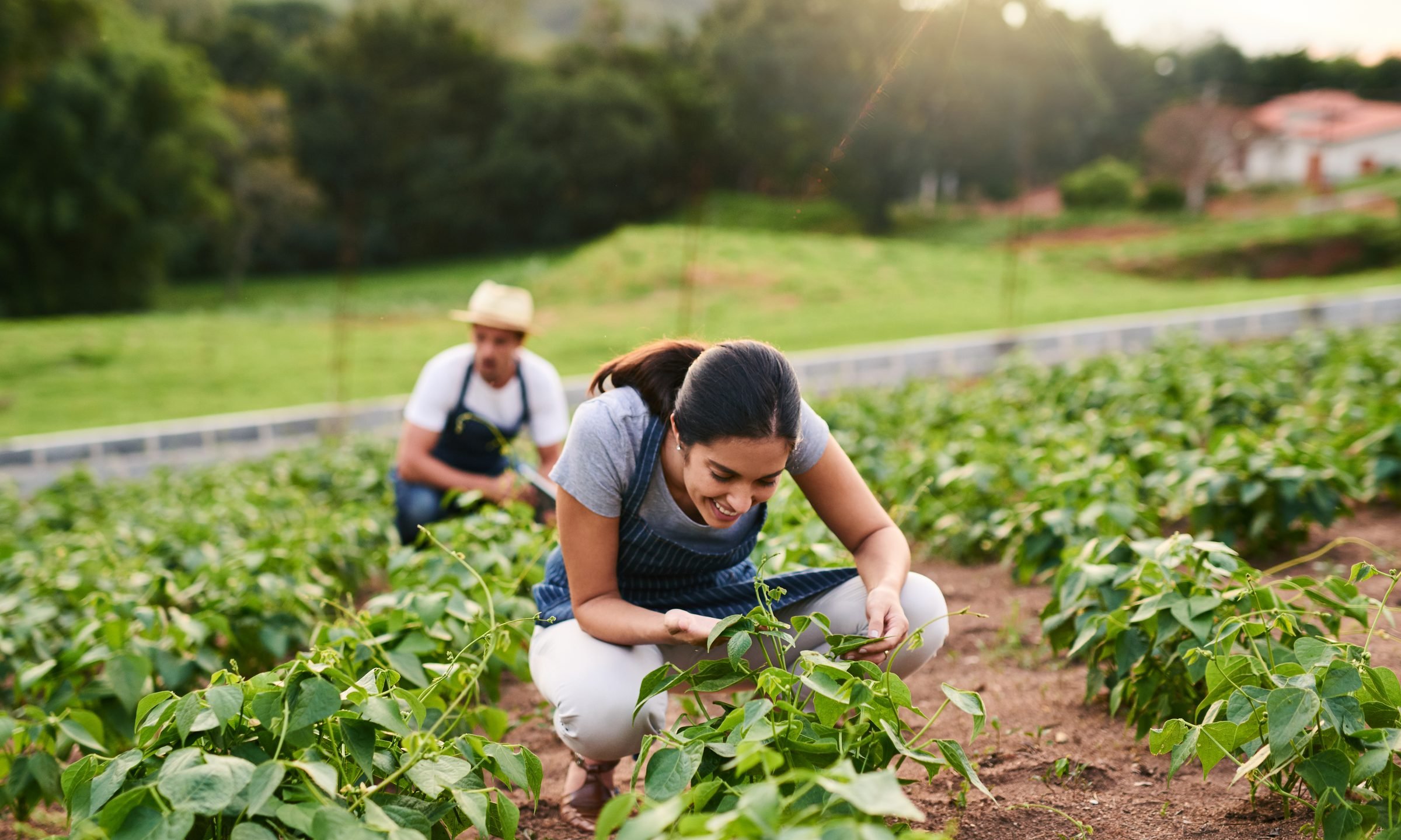 Most Profitable Small Farm Ideas - NerdWallet