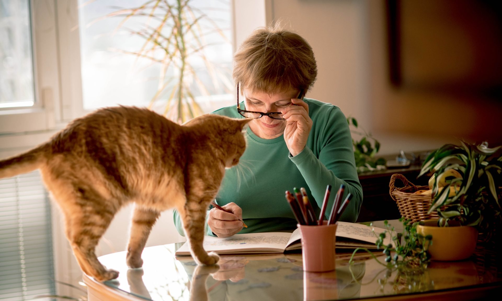 What Is Medicare Part C? - NerdWallet