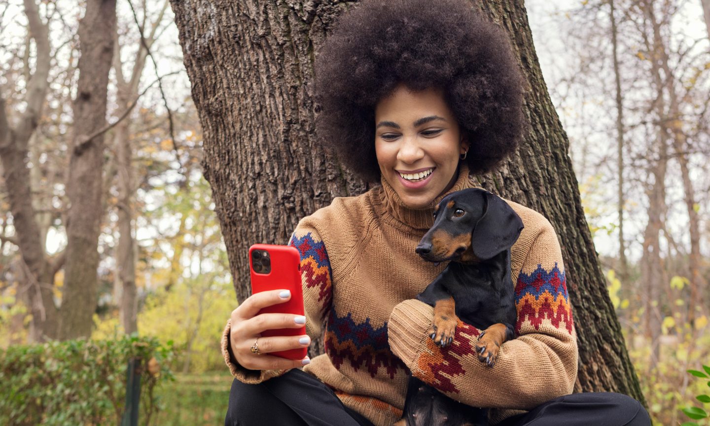 Lemonade Pet Insurance Review 2026: Pros and Cons - NerdWallet