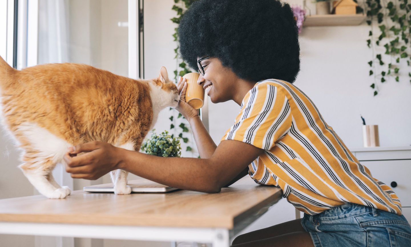 Pets Best Pet Insurance Review 2026: Pros and Cons - NerdWallet