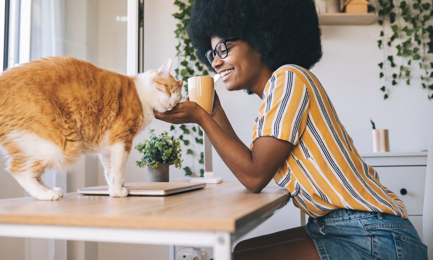 AKC Pet Insurance Review 2026: Pros and Cons - NerdWallet