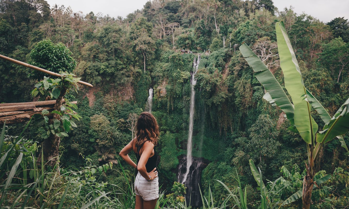 Trawick International Travel Insurance: What to Know - NerdWallet