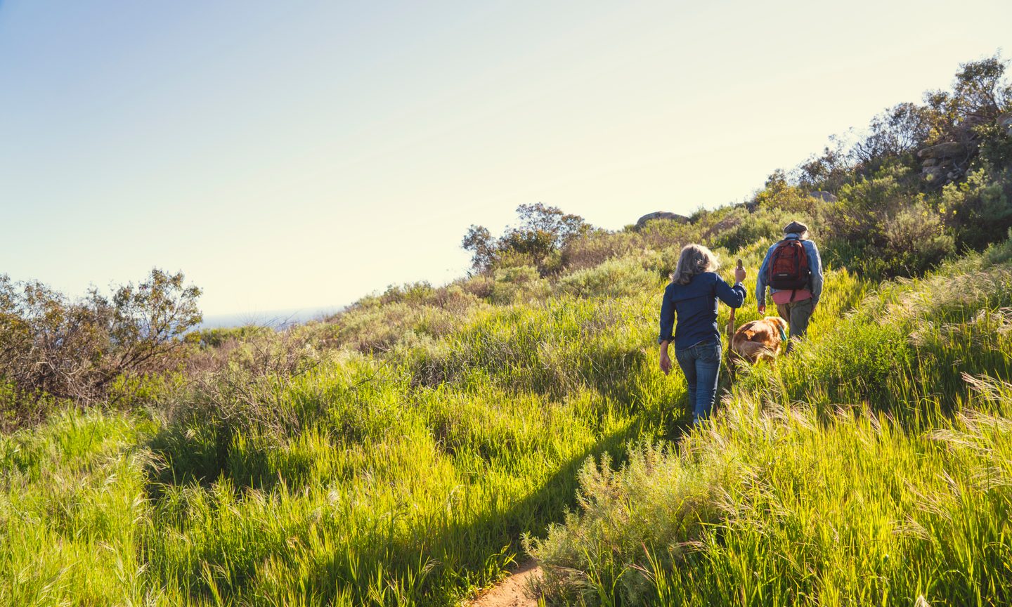 Wellpoint (Amerigroup) Medicare Advantage 2025 Review - NerdWallet