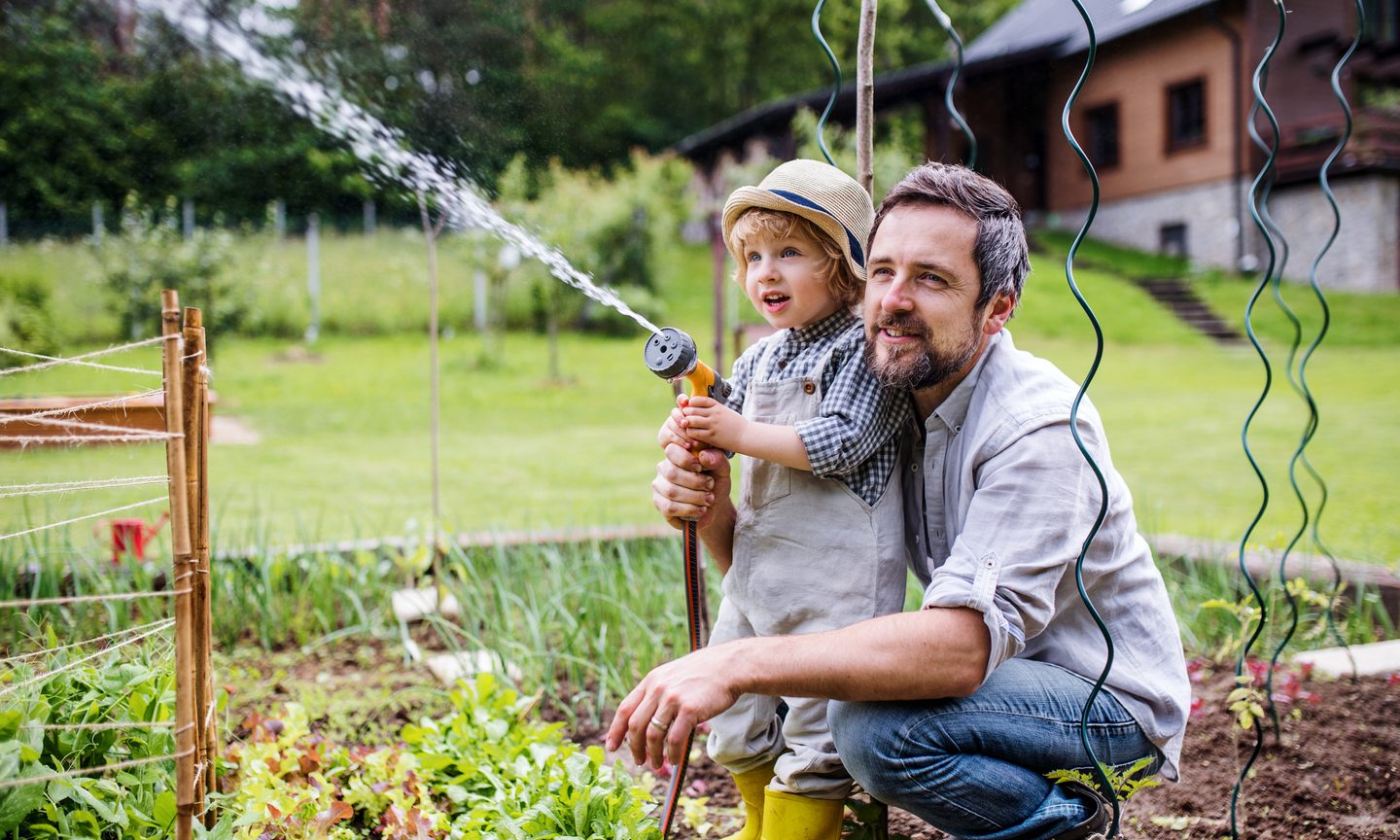 The Best Homeowners Insurance in Minnesota in 2026 - NerdWallet