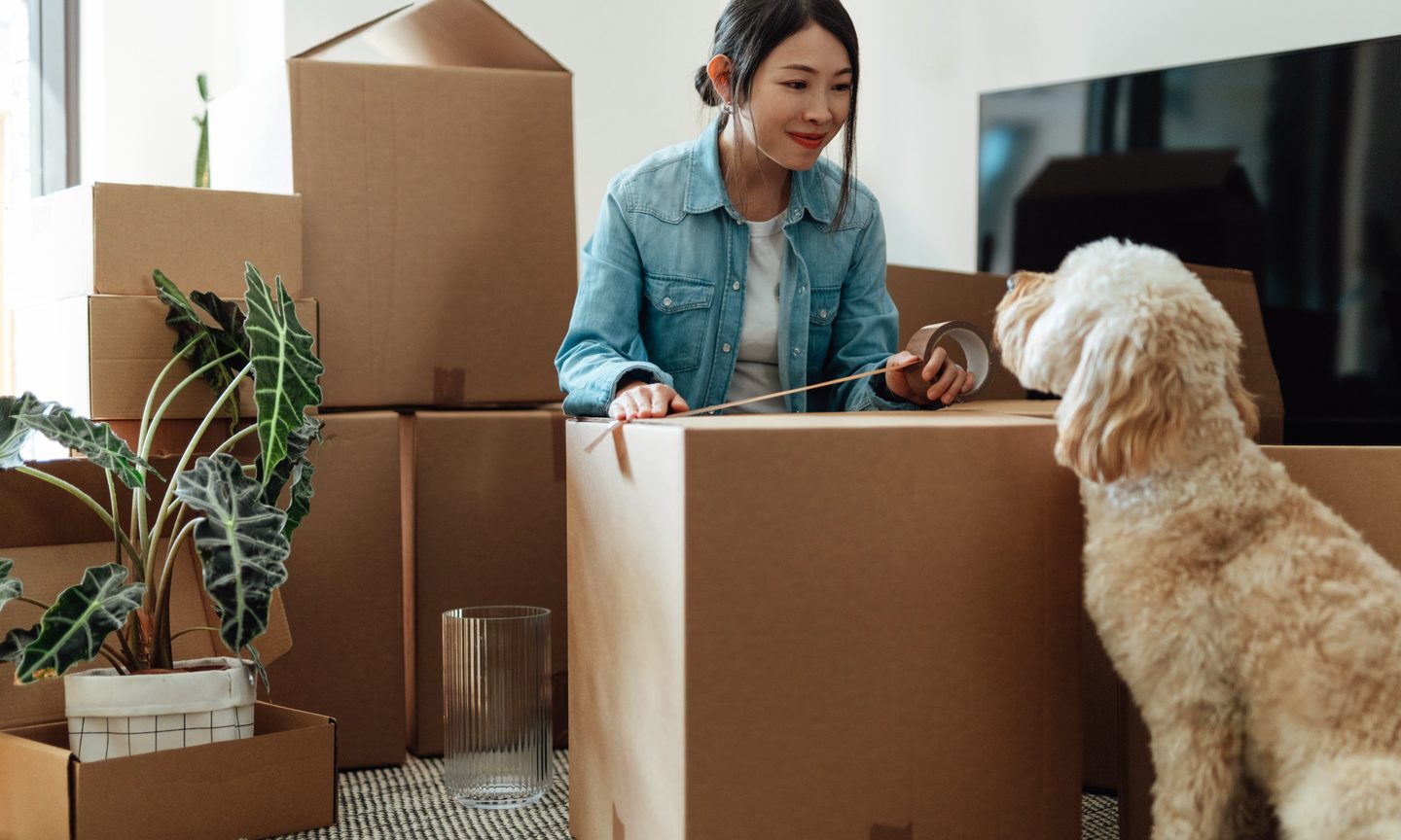 17 Places to Get Free or Cheap Moving Boxes - NerdWallet